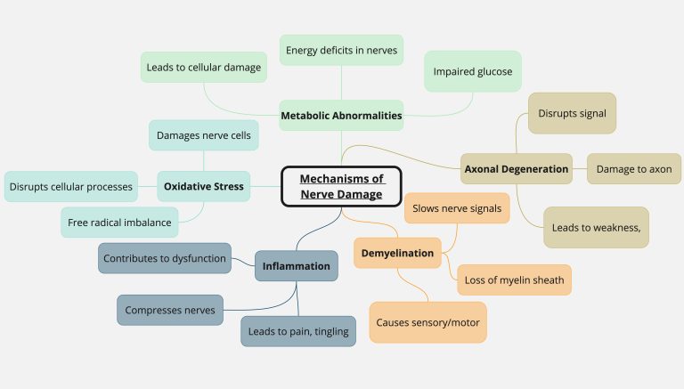 Common Causes of Peripheral Neuropathy – What to look out for!